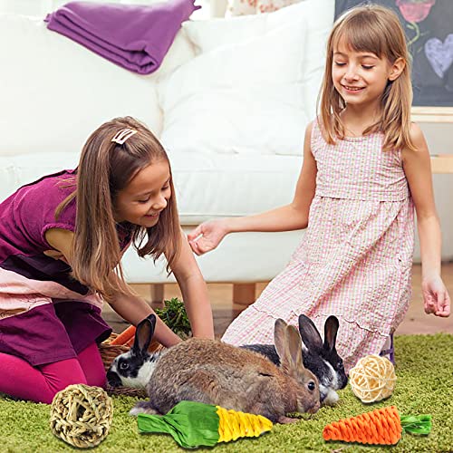 PD Bunny Chew Toys for Teeth, Natural Timothy Grass Small Animal Chew Toys, Mixed Grass and Molar Grass Cake and 2 Balls for Rabbits Chinchilla Hamsters Guinea Pigs Gerbils Groundhog Squirrels（14 pcs）