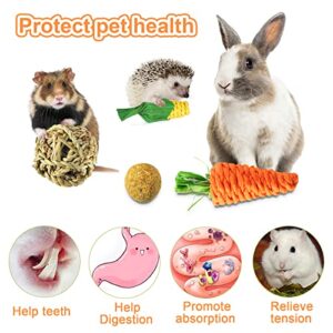 PD Bunny Chew Toys for Teeth, Natural Timothy Grass Small Animal Chew Toys, Mixed Grass and Molar Grass Cake and 2 Balls for Rabbits Chinchilla Hamsters Guinea Pigs Gerbils Groundhog Squirrels（14 pcs）