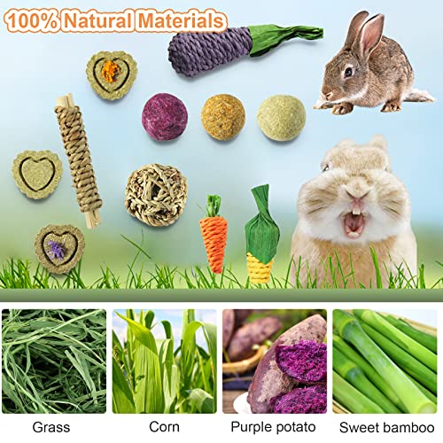 PD Bunny Chew Toys for Teeth, Natural Timothy Grass Small Animal Chew Toys, Mixed Grass and Molar Grass Cake and 2 Balls for Rabbits Chinchilla Hamsters Guinea Pigs Gerbils Groundhog Squirrels（14 pcs）