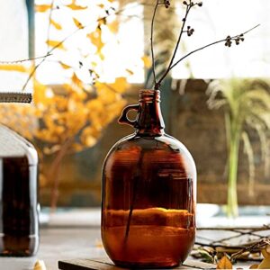 Dicunoy 1 Gallon Glass Jugs, Amber Fermenting Bottle with Seal Lid, 128oz Watter Bottle with Handle for Kombucha, Beer, Juice, Milk, Limoncello, Home Decoration, Change Jar, Farmhouse Flower Vase