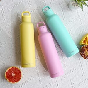 monomono 24oz Double Insulated Water Bottle With Handle Lid, Stainless Steel Gym & Sports Water Bottle for Men, Women & Kids, Hot and Cold, Leakproof, Toxic Free & BPA Free Water Bottle, Pastel Yellow