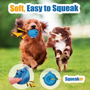 HOLYSTEED Squeaky Dog Toys for Small Dogs and Medium Breeds, Puppy Small Dog Toys Squeaky Dog Balls 6pcs