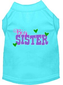 brightt - big sister screen print dog shirt aqua xxxl for pet dog puppy pup pupper doggos