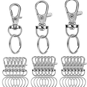 YHYZ Keychain Key Chain Rings Clips Swivel Bulk (40pcs), Small + Medium + Large, Swivel Lanyard Snap Hooks (Lobster Claw Clasp) with Rings, for Keychain Crafts Resin, Lanyard, Bag, Purse,Tag