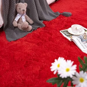 DETUM Red Rug 2x6 Feet - Fluffy Red Runner Rugs for Bedroom Shaggy 2' X 6' Living Room Rug Soft Rugs for Kids Room Non-Slip Nursery Office Dorm Washable Carpets Home Decor