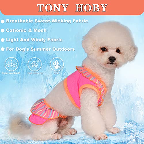 TONY HOBY Dog Swimsuit, Dog Bikini Swimming Dress, Dog Beach Dress in Seaside, Pool, Dog Bathing Suit for Small Medium Dog (3PCS, Orange, L)