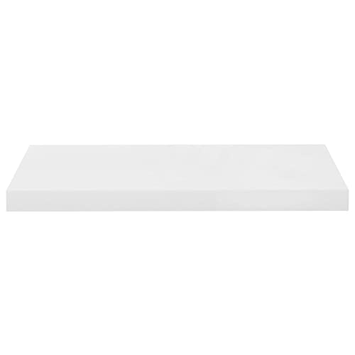 Homvdxl Floating Shelves, White High Gloss Wall Mounted Shelf with Invisible Brackets Book Plant Display Rack Storage for Bathroom Living Room Bedroom Entryway Hallway, 23.6 x 9.3