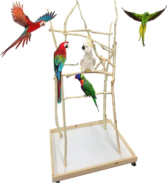 ExoticDad XS Parrot Stand - Customize Your Perch Designed Natural Dragonwood Bird Perch on Wheels Stand for Parrot, Cockatoo, Macaw, Conure, Birds, Cockatiel, African Grey - (24×36 Ft - B - 4 Ft H)