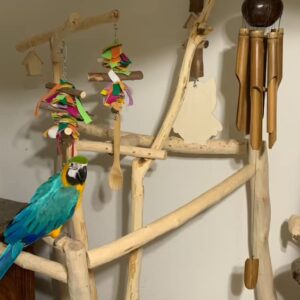 ExoticDad XS Parrot Stand - Customize Your Perch Designed Natural Dragonwood Bird Perch on Wheels Stand for Parrot, Cockatoo, Macaw, Conure, Birds, Cockatiel, African Grey - (24×36 Ft - B - 4 Ft H)