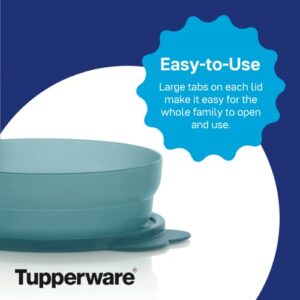 Tupperware Brand Microwave Reheatable Cereal Bowls (500mL/2 Cup) + Lids - Dishwasher Safe & BPA Free - Airtight, Leak-Proof Food Storage Containers