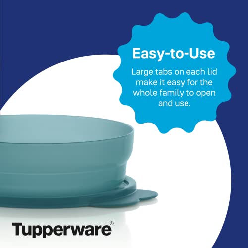 Tupperware Brand Microwave Reheatable Cereal Bowls (500mL/2 Cup) + Lids - Dishwasher Safe & BPA Free - Airtight, Leak-Proof Food Storage Containers