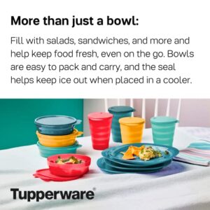 Tupperware Brand Microwave Reheatable Cereal Bowls (500mL/2 Cup) + Lids - Dishwasher Safe & BPA Free - Airtight, Leak-Proof Food Storage Containers