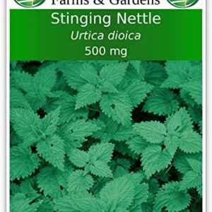 TKE Farms - Stinging Nettle Seeds for Planting, Urtica dioica, 500 mg ~ 2000 Seeds