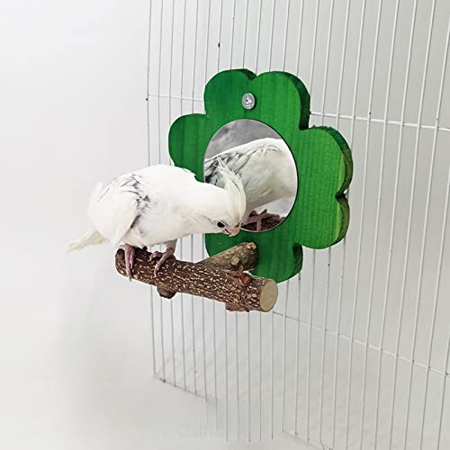 Bird Parakeet Mirror for Cage,Parrot Perch Stand,Wooden Hummingbird Swing Toy,Parakeet Accessories for Cockatiels Conure Finch Lovebird Canary African Grey Macaw (Clover)