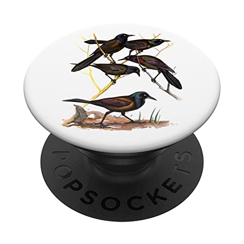 Grackle PopSockets Swappable PopGrip