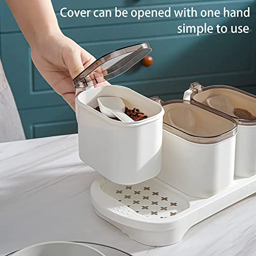 Kitchen Storage Container Condiment Jar, Multi-Compartment Condiment Container With Lid and Spoon, Used to Store Salt, Pepper, Sugar, Spices, Cornstarch and Chicken Stock Powder, etc.