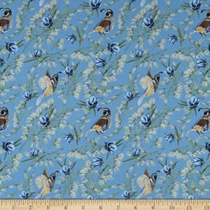 riley blake designs riley blake golden poppies quail fabric, turquoise