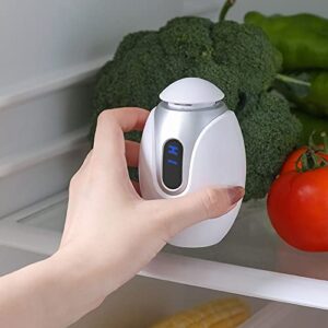 Smart Ozone Deodorizer, Portable Ozone Refrigerator Deodorizer, Mini Rechargeable Freshener for Refrigerator Home Mini Sterilization Equipment