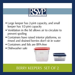 RSVP International Reusable Food Storage Collection Berry Keeper Set, Red 5.125x4.125, Blue 4.25x2.125