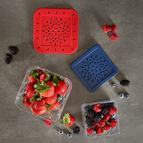 RSVP International Reusable Food Storage Collection Berry Keeper Set, Red 5.125x4.125, Blue 4.25x2.125