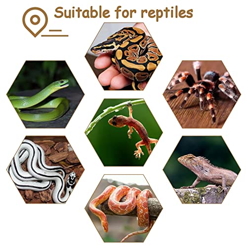 Hamiledyi Snake Hides and Caves, Resin Reptile Tank Accessories Large Humid Hide Leopard Gecko Corn Snake Shedding Egg-Laying Shelter