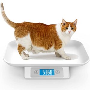 digital pet scale for puppy and cats, puppy whelping supplies scale, weigh capacity 33 lbs (±0.03oz), removable tray size 13.4 x 9.5 inch, a pet scale for adult cats and small animals (grey)