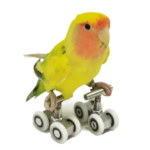 YANQIN Bird Skate Intelligence Training Toy, Parrot Educational Table Top Trick Prop Parakeets Hobby Building Toys Chewing Learning, Pet Foot Talon Toy for Cockatiel Lovebird Conure Monk 2 Pack