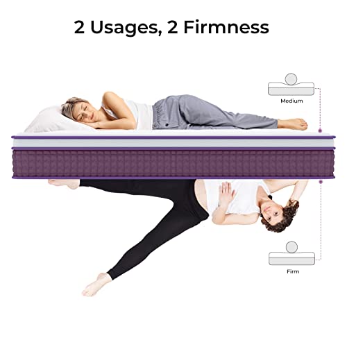 REGOSS 12 Inch Innerspring Hybrid Mattress, Motion Isolation Individually Wrapped Pocket Coils Mattress, Queen Size Mattress in a Box, Foam and Spring Mattress for Pressure Relief, Purple