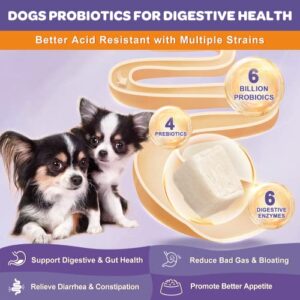 Probiotics for Dogs, 6 Billion CFUs, Freeze Dried Dog Probiotics with Prebiotics and Digestive Enzymes, Vitamins and Omega 3, for Gut & Skin & Immune Health, Allergy Itch Relief, Reduce Diarrhea, Gas