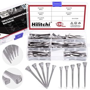 hilitchi 130pcs 5 sizes e2 e3 e4 e5 e6 steel horse hoof nails horseshoe tools kit, for fix horse nail palm with 1.6" 1.7" 1.8" 2" 2.1" 4 types for horse race horse horse training