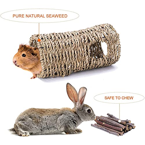 Hamster Seagrass Tunnel Chew Toys Set, Grass Tunnel House, Natural Grass Balls Apple Branch Wood Teeth Care Molar Toys for Gerbils,Hamsters Rats Syrian Small Animal Toys Exercise Accessories (7 Pack)