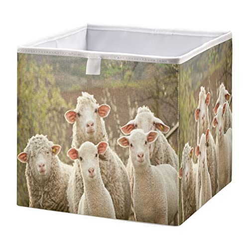 STAYTOP Collapsible Storage Bins, Closet Storage Basket, Closet Organizers Fabric Storage Boxes for Home, Office, Car, Nursery-Cute Little Sheep