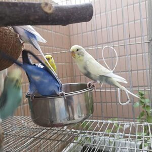 Lucky Interests 4 pcs Bird Feeding Dish Cups, Parrot Stainless Steel Food Bowl Bird Cage Water Feeder with Clamp Holder for Parrots Cockatiel Budgies Lovebird Parakeet Feeding Cups with 4 Bird Spoon