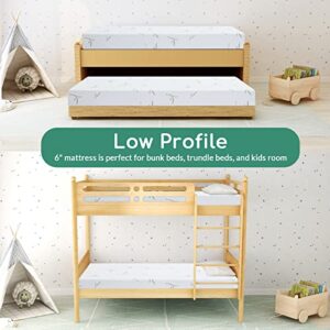 Airdown Twin Mattress, 6 Inch Memory Foam Mattress in a Box for Kids with Breathable Bamboo Cover, Medium Firm Green Tea Gel Mattress for Bunk Bed, Trundle Bed, CertiPUR-US Certified, Made in USA