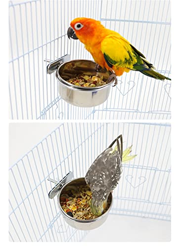 Lucky Interests 6 pcs Bird Feeding Dish Cups, Parrot Stainless Steel Food Bowl Bird Cage Water Feeder with Clamp Holder for Parrots Cockatiel Budgies Lovebird Parakeet Feeding Cups with 6 Bird Spoon