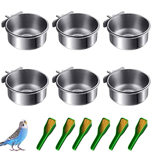 Lucky Interests 6 pcs Bird Feeding Dish Cups, Parrot Stainless Steel Food Bowl Bird Cage Water Feeder with Clamp Holder for Parrots Cockatiel Budgies Lovebird Parakeet Feeding Cups with 6 Bird Spoon