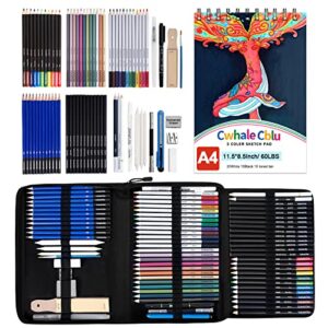 77 Pack Drawing Sets Art Kit, Pro Drawing Supplies with 8x11Inch 3-Color Sketch Book,Include Colored, Graphite, Charcoal, Watercolor & Metallic Pencil, Art Pencil Set For Kids Artists Beginners