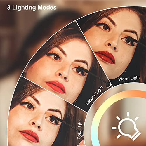 BILEEVO 10X Magnifying Vanity Mirror, Suction Cup Makeup Mirror with Flexible Gooseneck, LED Light Dimmable