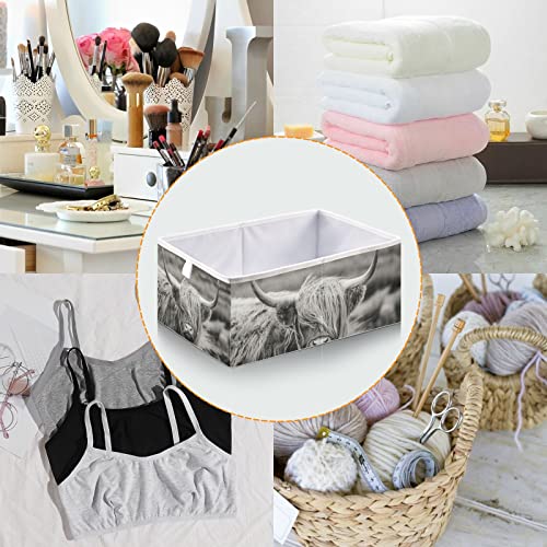 Kigai Storage Basket Highland Cow Foldable Storage Bin 11 X 11 X 11 Inches Cube Storage Baskets Box for Shelves Closet Laundry Nursery Bedroom Home Decor