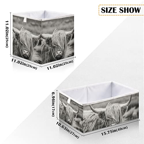 Kigai Storage Basket Highland Cow Foldable Storage Bin 11 X 11 X 11 Inches Cube Storage Baskets Box for Shelves Closet Laundry Nursery Bedroom Home Decor