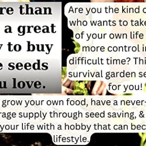 50 Vegetable & Fruit Seeds for Planting Your Outdoor & Indoor Home Seed Garden Gear. 12,500 Seeds, 50 Seed Markers, Growing Guide, & Survival Package. Gardening Heirloom Non-GMO Veggie Seed B&KM Farms