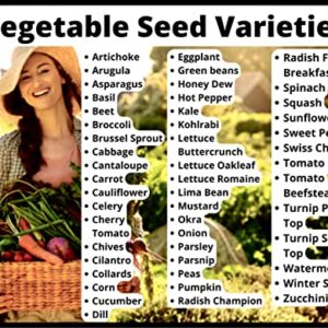 50 Vegetable & Fruit Seeds for Planting Your Outdoor & Indoor Home Seed Garden Gear. 12,500 Seeds, 50 Seed Markers, Growing Guide, & Survival Package. Gardening Heirloom Non-GMO Veggie Seed B&KM Farms