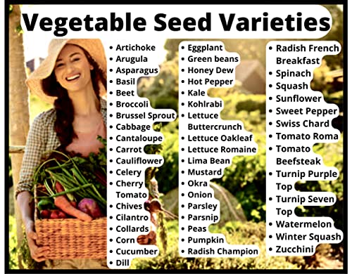 50 Vegetable & Fruit Seeds for Planting Your Outdoor & Indoor Home Seed Garden Gear. 12,500 Seeds, 50 Seed Markers, Growing Guide, & Survival Package. Gardening Heirloom Non-GMO Veggie Seed B&KM Farms