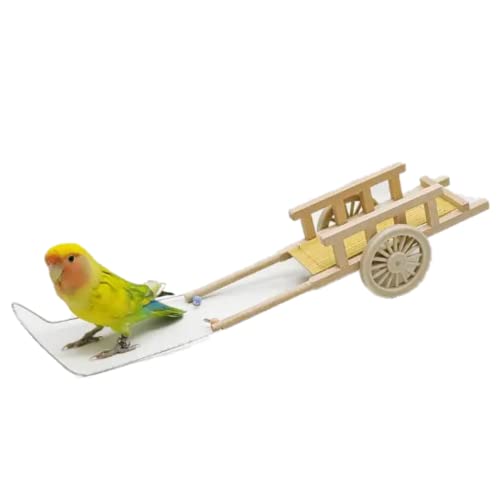 YANQIN Parrot Toy Bird Intelligence Skill Training Slide Toy Parrot Educational Toys for Conures Parakeets Cockatiels