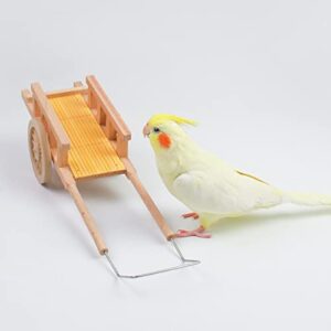 YANQIN Parrot Toy Bird Intelligence Skill Training Slide Toy Parrot Educational Toys for Conures Parakeets Cockatiels