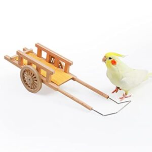 YANQIN Parrot Toy Bird Intelligence Skill Training Slide Toy Parrot Educational Toys for Conures Parakeets Cockatiels