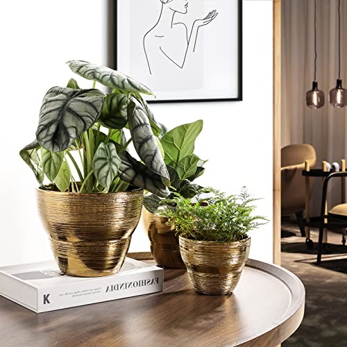 JOFAMY 3 Pack Gold Planters Houseplant Pots 7.1/6/5 Inch Brushed Gold Finish Plant Flower Pots Brass Planter with Drainage, Silicone Plugs & Mesh Pads Ideal for Home Decor, Birthday, Wedding