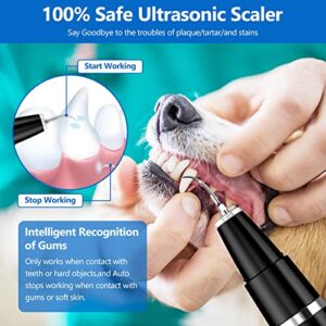 Ni-SHEN Dog Plaque Remover for Teeth，Pet Ultrasonic Tooth Cleaner Toothbrush，Teeth Cleaning Kit -Tartar Remover for Teeth Stains for Dogs and Cats (Black)