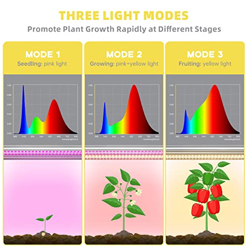 Grow Light with Plant Stand, 2FT T5 Grow Lights for Seed Starting, 30W Full Spectrum Plant Light for Indoor Plants, Height Adjustment, Indoor Garden with LED Grow Light by Bstrip