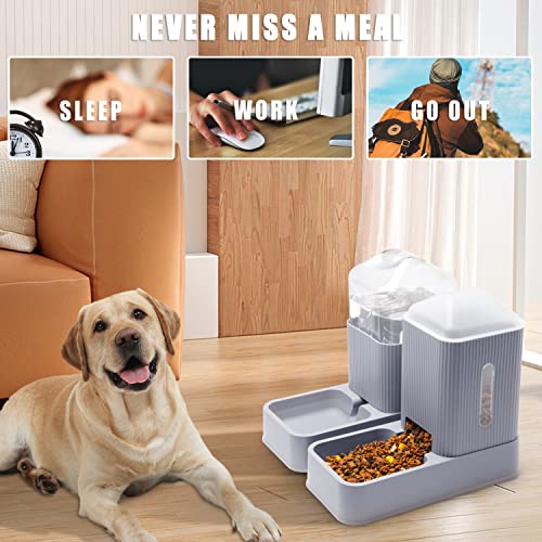 Automatic Cat Feeders Automatic Dog Feeder with Dog Water Bowl Dispenser 2 Pack Cat Feeder and Cat Water Dispenser in Set 1 Gallon for Small Medium Dog Puppy Kitten(Gray)